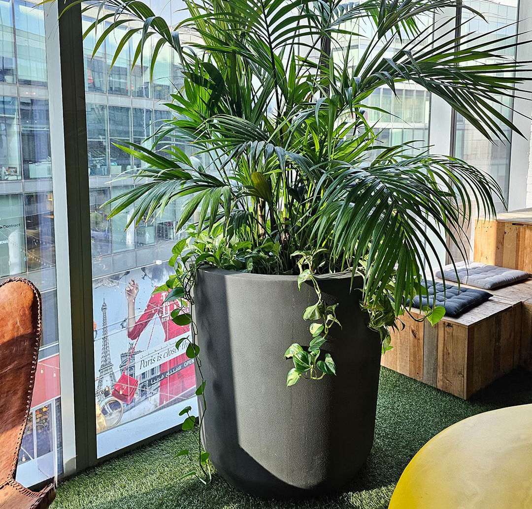 Evolution of GRP Planters: Modern Solution for Your Space